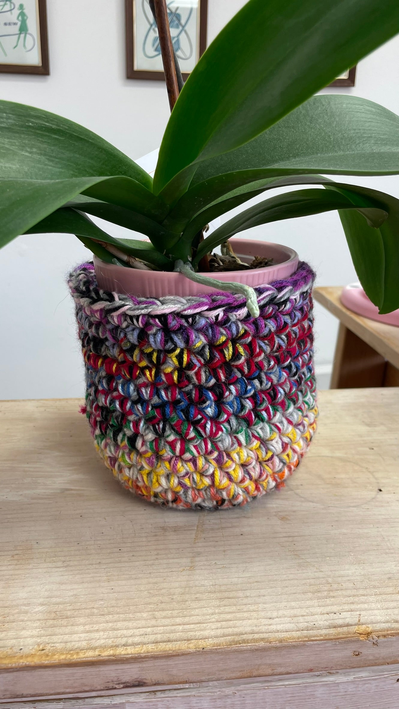 Class: Intro to Crochet | Trove Arts and Crafts LLC